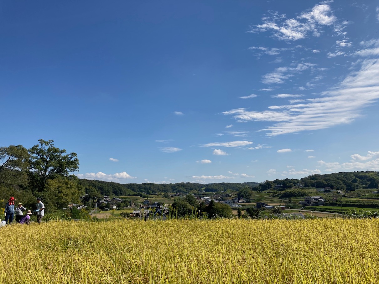 みんなでつくる田んぼの楽校 “のらのら” 2023 | Linoworks